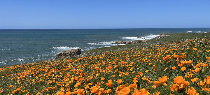 Virtual Public Comment Meeting for the Proposed Chumash Heritage ...