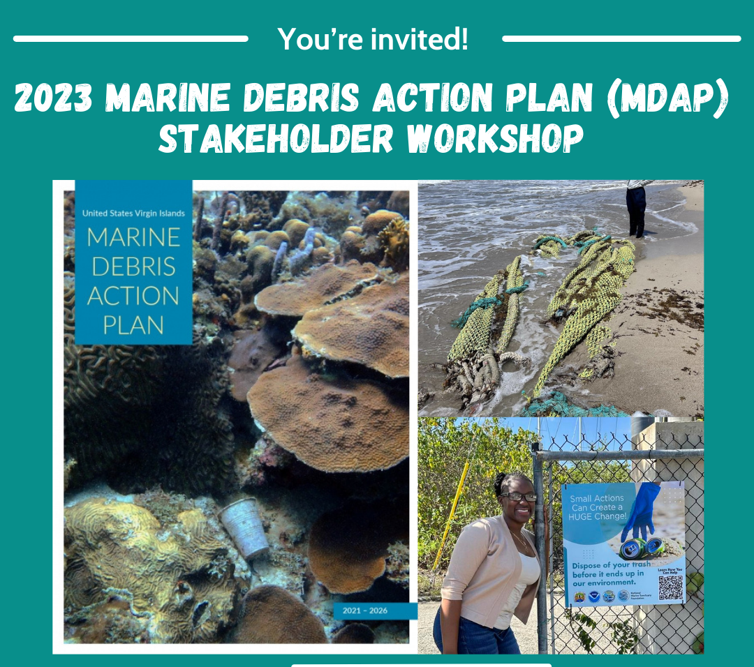 Marine Debris in the Caribbean Newsletter: December 2023