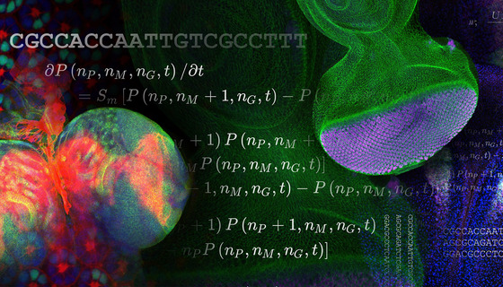 $50 million institute to use math to model, predict biological processes