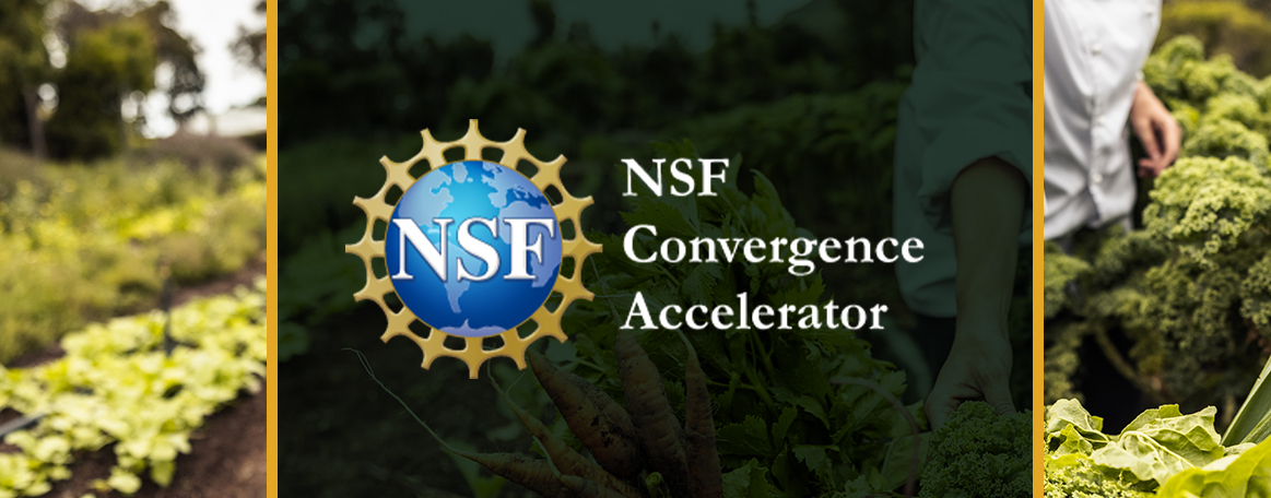 NSF leads a $35M federal investment in future agricultural technologies ...