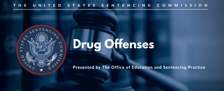 Virtual Session - Drug Offenses