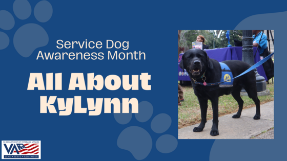 September is Suicide Prevention Month and Service Dog Awareness Month ...