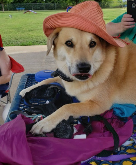 104P Operations Newsletter | May 2024