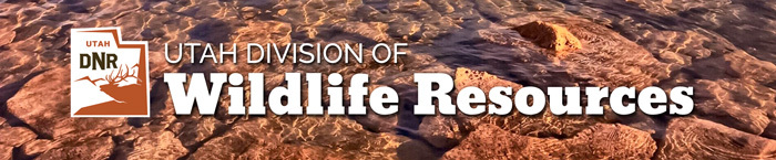 Boater survey from the Utah Division of Wildlife Resources