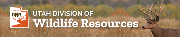 Utah DWR Southern Region mule deer unit survey - Panguitch Lake