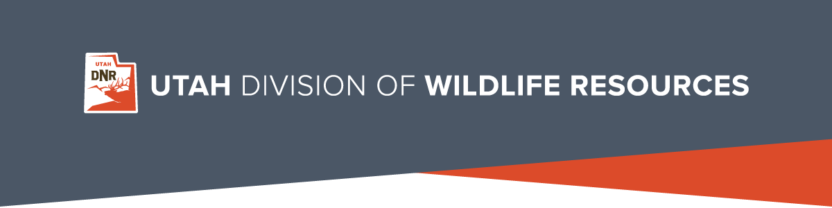 Renew your fishing license and find your best self on the water!