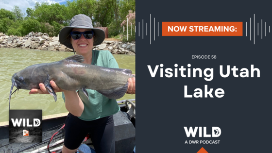 Utah Wildlife News for July 20, 2024