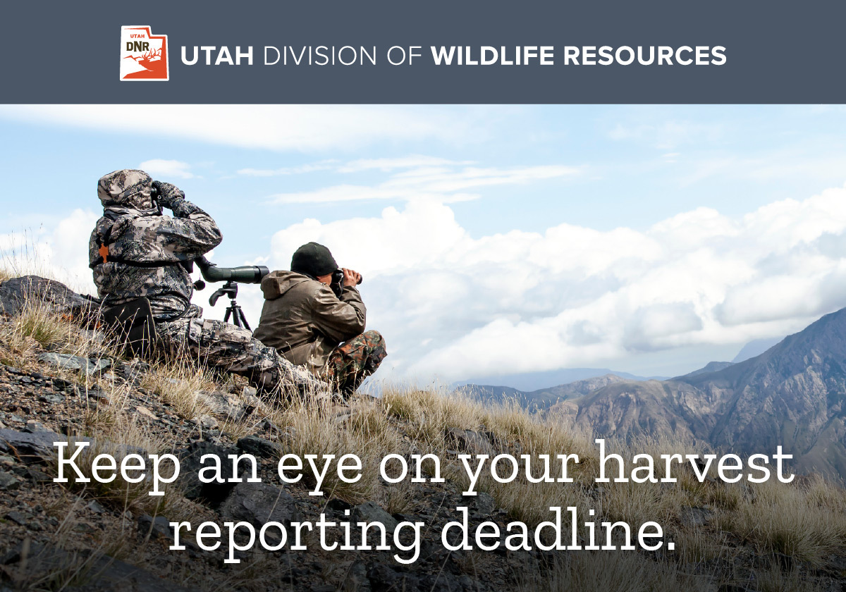 Remember to submit your harvest report by Harvest Report Due Date!