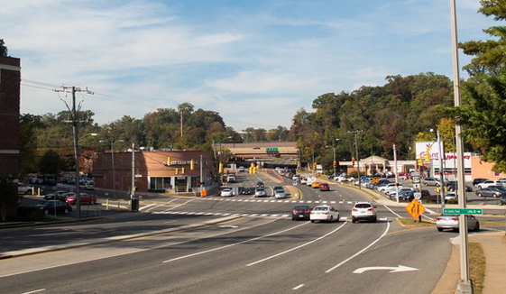 Lee Highway Visioning, Top Trees, Bald Eagle Visit