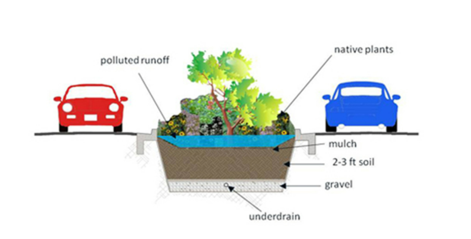 Stormwater Utility Updates: July 29 Storm Resources + Ways to Reduce ...