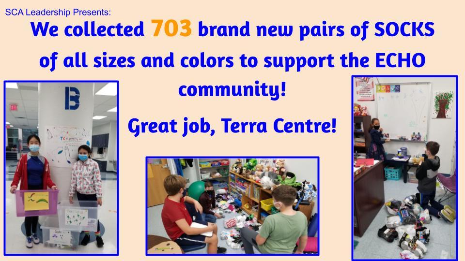 Terra Centre Updates 10-29-21