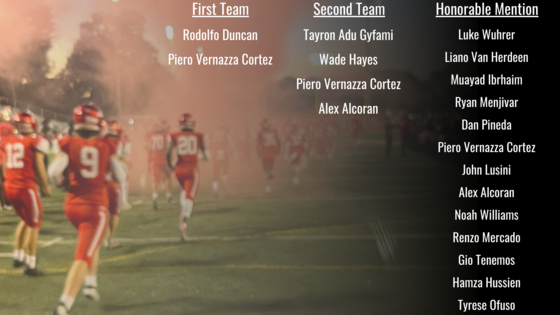 Annandale Community Insider - November 13