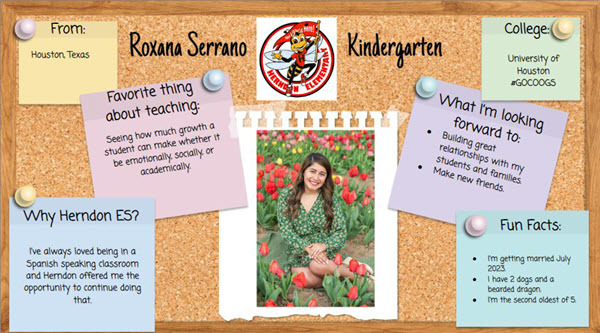 Bee Hive, December 9, 2022