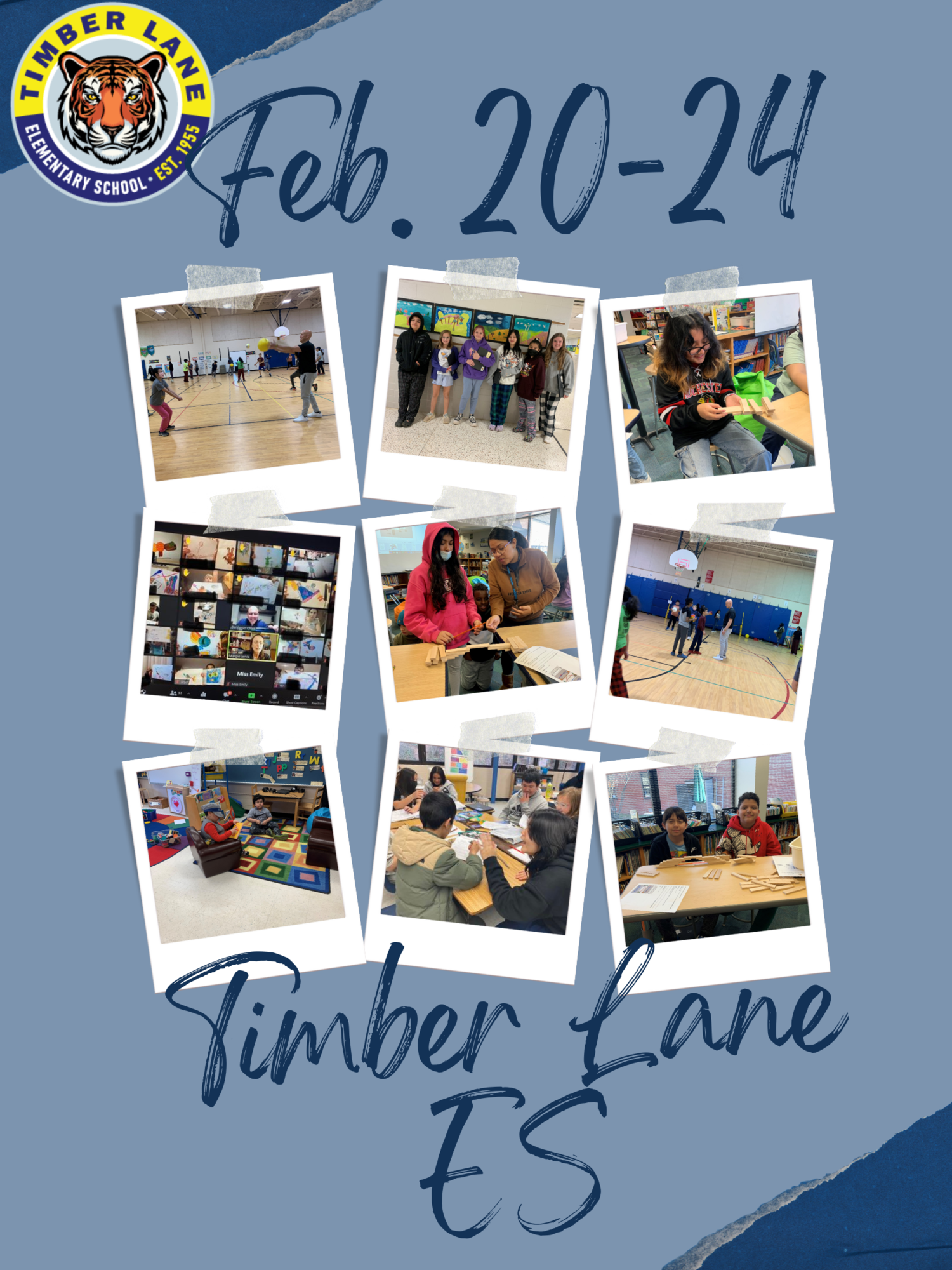 Timber Lane Times