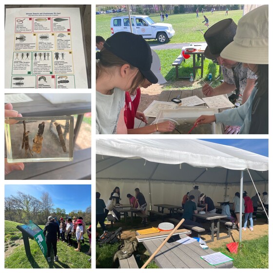 Mantua Elementary Weekly Newsletter