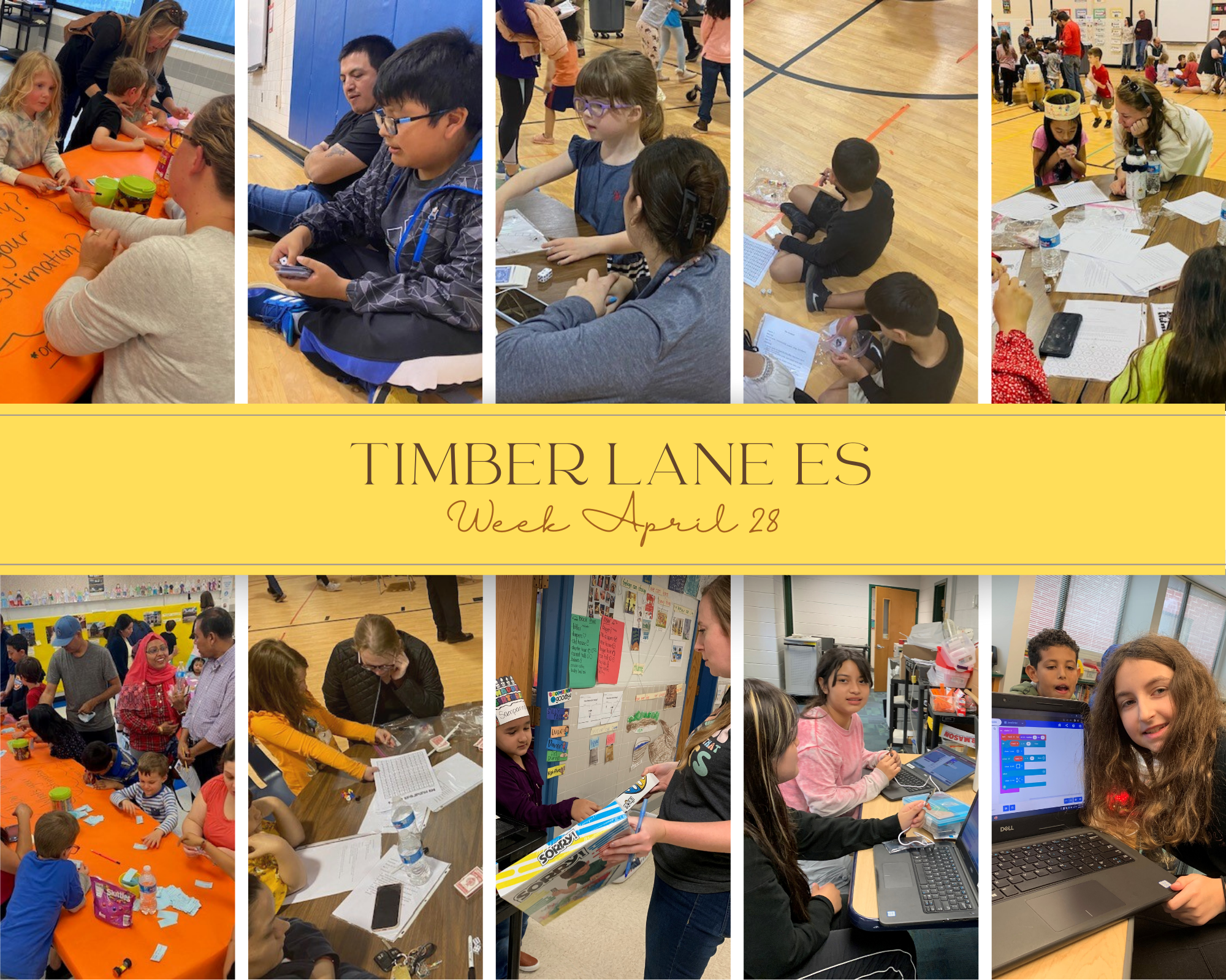 Timber Lane Times