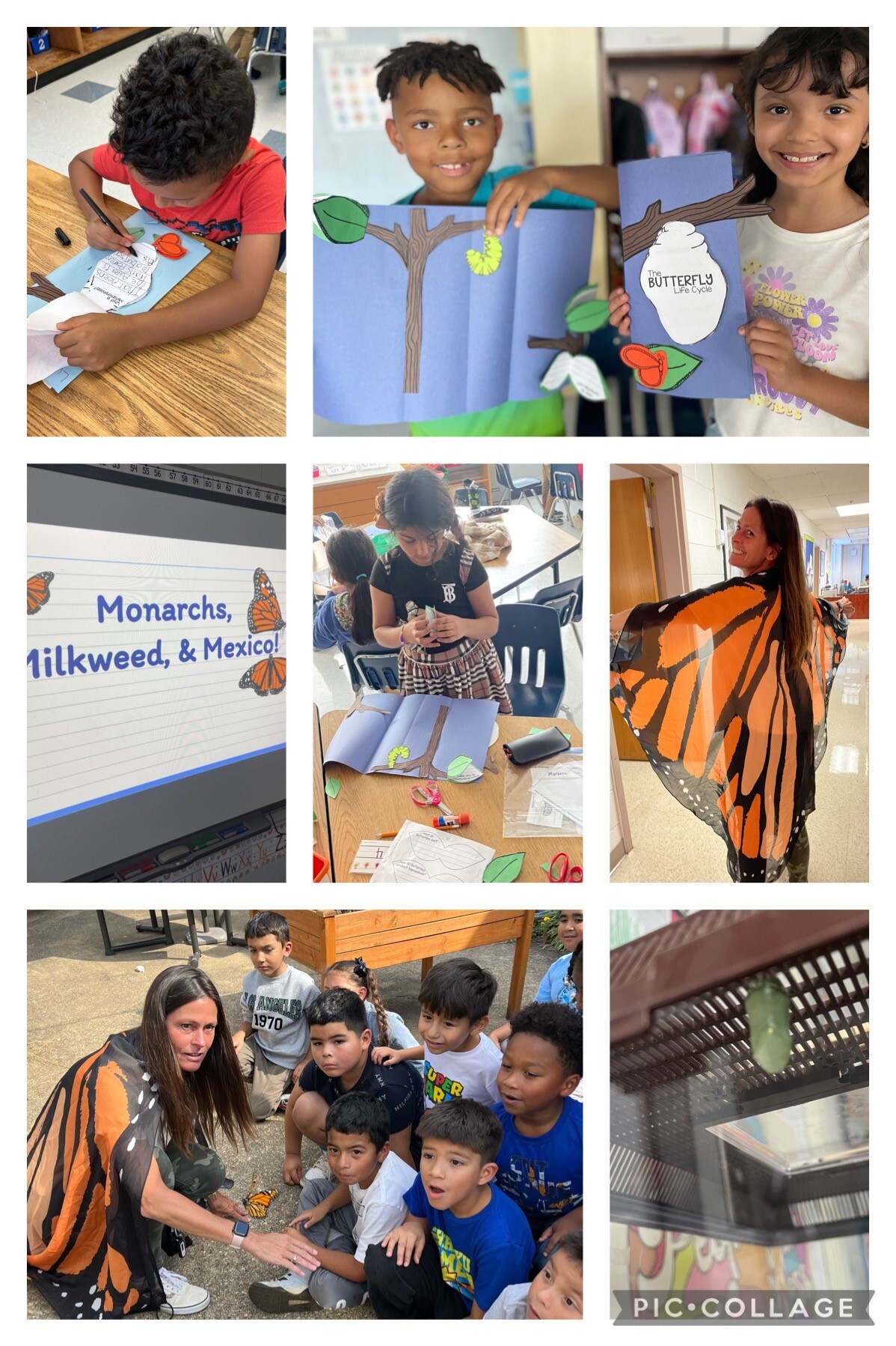 Falcon Press 9.22.23