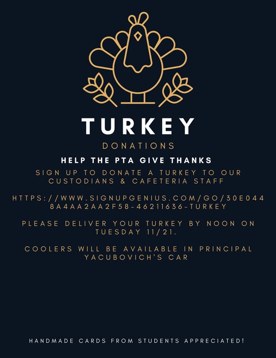 The Pine Spring Paw Print