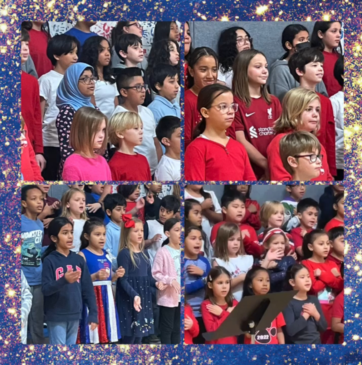 The Pine Spring Paw Print