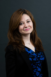 Chantilly Pyramid Magic School Bus is Tomorrow, 8/7 and Brookfield ...