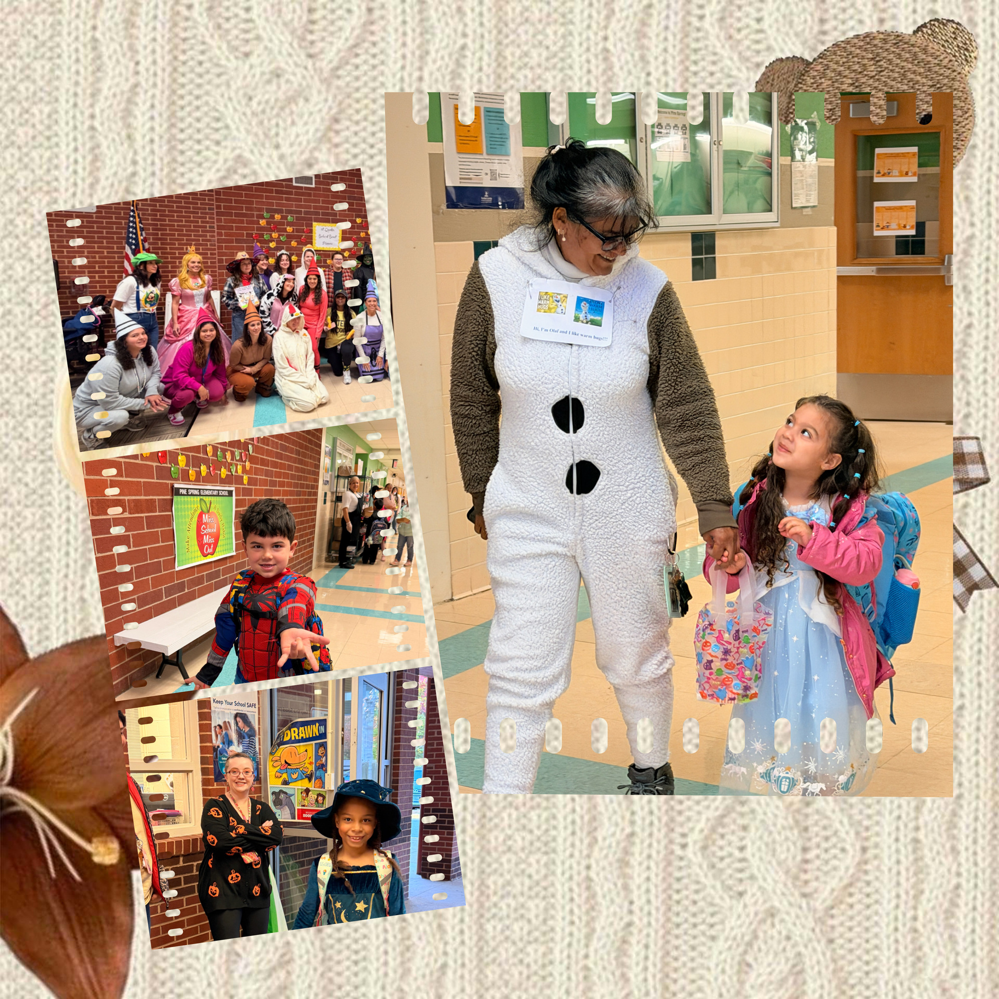 Pine Spring Paw Print