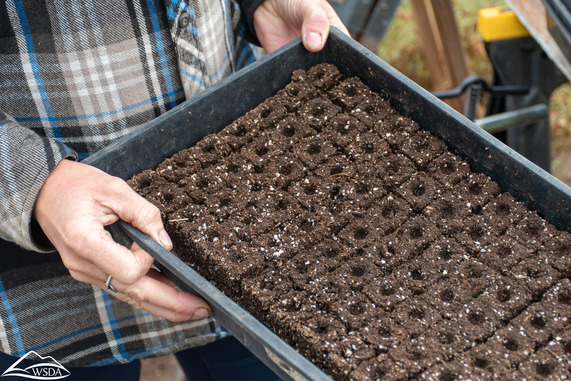 Farmer Digest: Spring has sprung! / ¡Ha llegado la primavera!