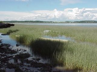 September Natural Resources Newsletter