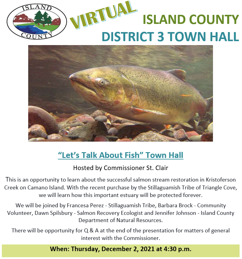 District 3 Virtual Town Hall - "Let's Talk About Fish"