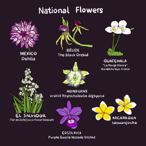 ESIT Racial Equity Corner