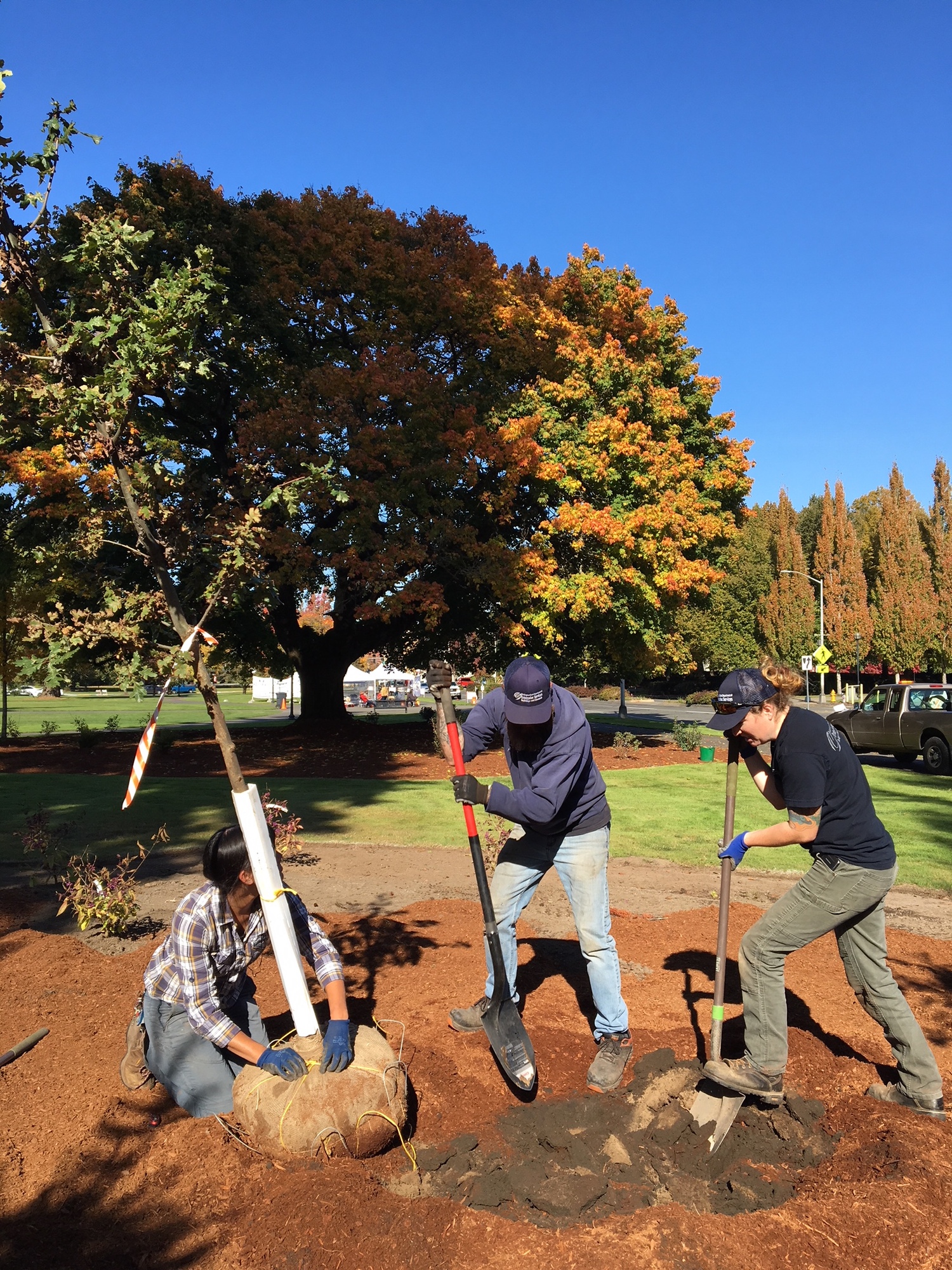 Join the Arbor Day celebration on Capitol Campus April 12