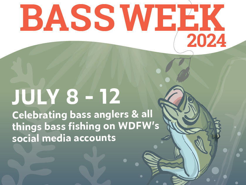 Bass Week is here ...