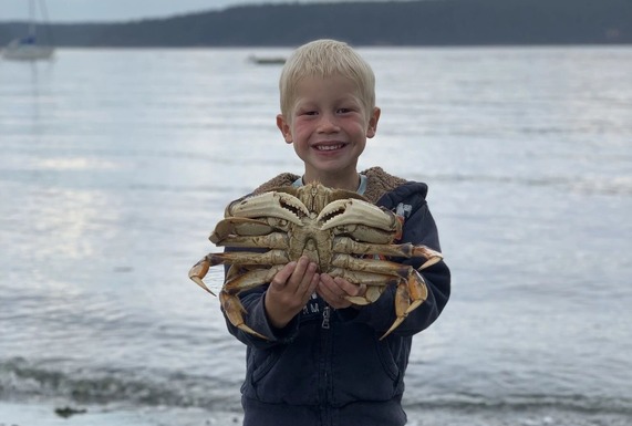 Dungeness crab catch record cards are due soon
