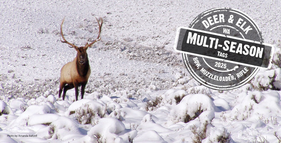 Remaining Multi-season deer and elk tags to be offered