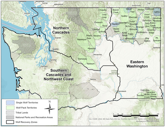 Annual survey shows increase in gray wolf packs in Washington, decrease ...