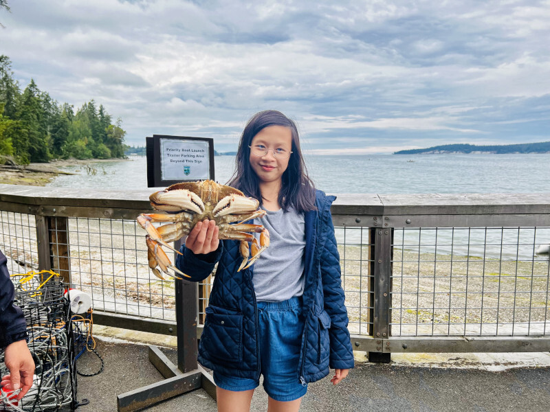 Dungeness crab catch record cards are almost due
