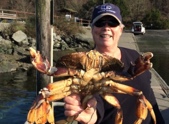 Dungeness crab catch record cards are due soon