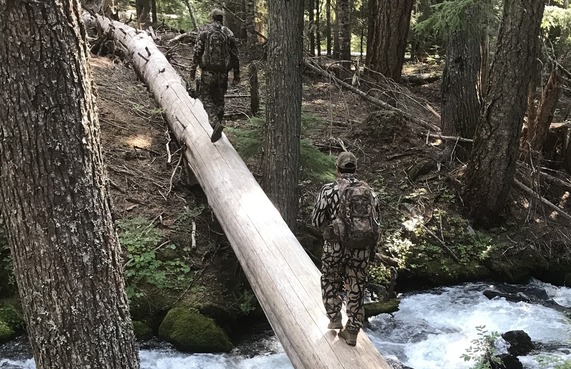 Enter the Big Game Hunting Pamphlet Cover Photo Contest