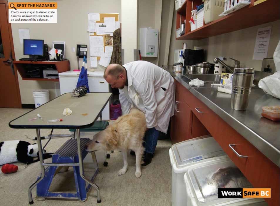 Can You Spot The Hazards in February's calendar photo?