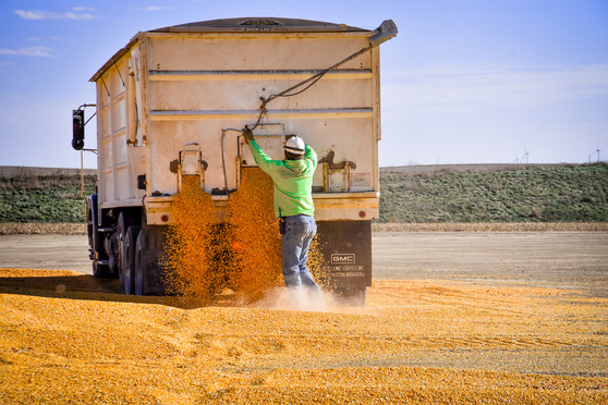 Stand Up 4 Grain Safety Week. English and Spanish webinars make it easy ...