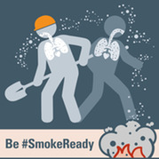 Know the health risks of breathing in wildfire smoke / Conozca los ...