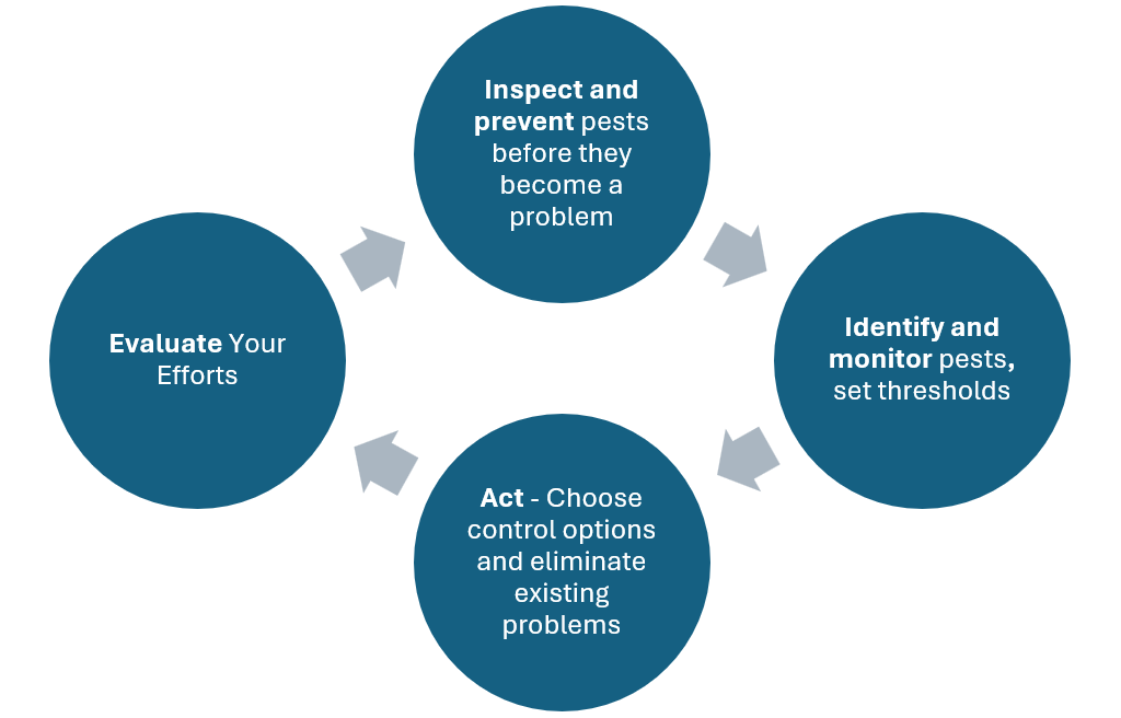 🦇 NEW: School IPM webpages and bats Pest Press handout 🦇