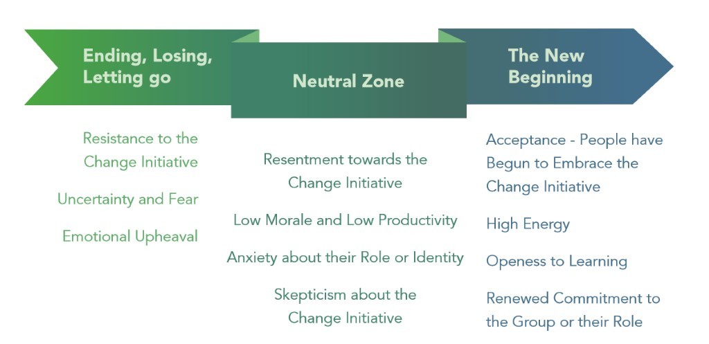 GreenWhereWeWork update: Change management and a kitchen sink moment