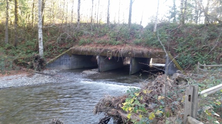 Contractor begins work to remove fish barrier culvert on Chico Creek ...