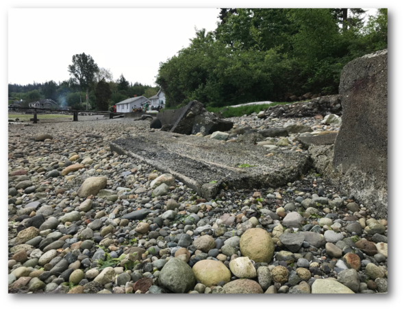 Did you know: bulkheads impact the health of beaches?