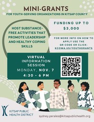 Mini grants for youth-serving organizations