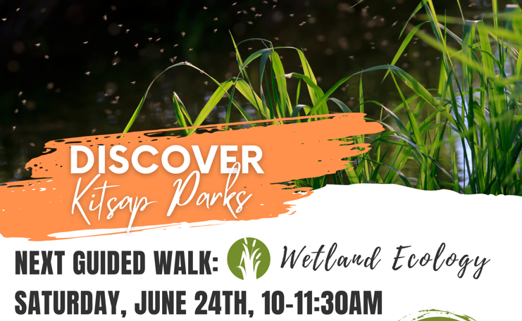 Discover Kitsap Parks: Wetland Ecology at Newberry Hill Heritage Park