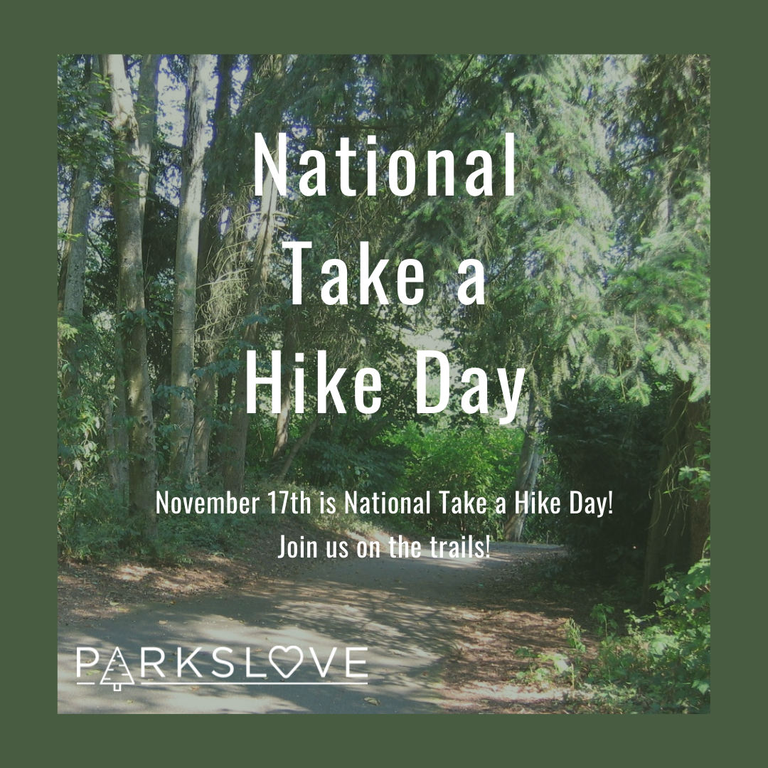 Lynnwood Healthy Communities: November News!