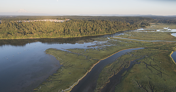 NEWS RELEASE: The Puget Sound Partnership to host "Fish and the Farm ...