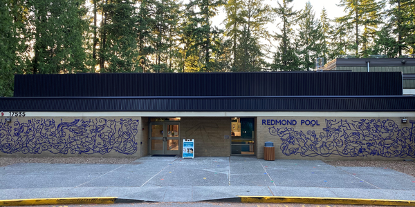 Redmond Pool ADA Improvements, Human Services Strategic Plan, View ...