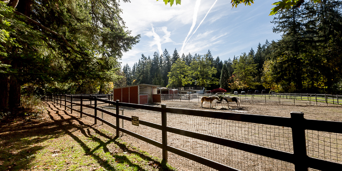 Help Shape Redmond's Parks, Trails, and Recreation, Celebrate Pride ...